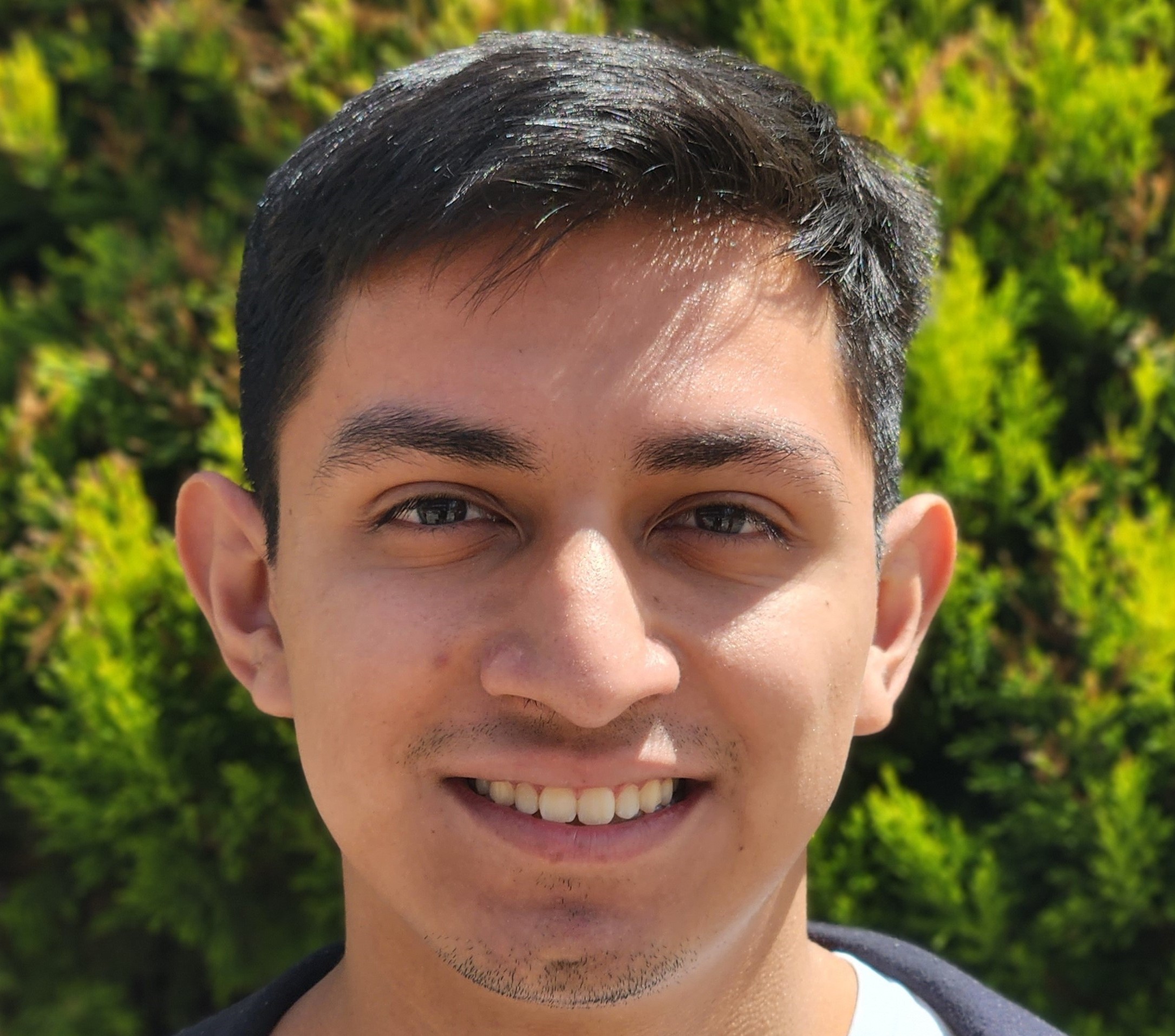 Portafolio Juan C. Reyes del Castillo